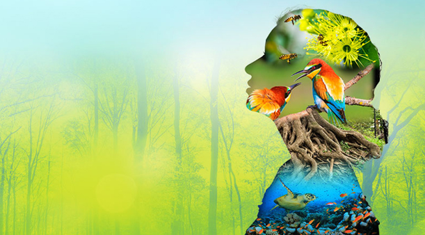 Data e sotme 22 Maj, shënon ‘Ditën Ndërkombëtare të Biodiversitetit ...