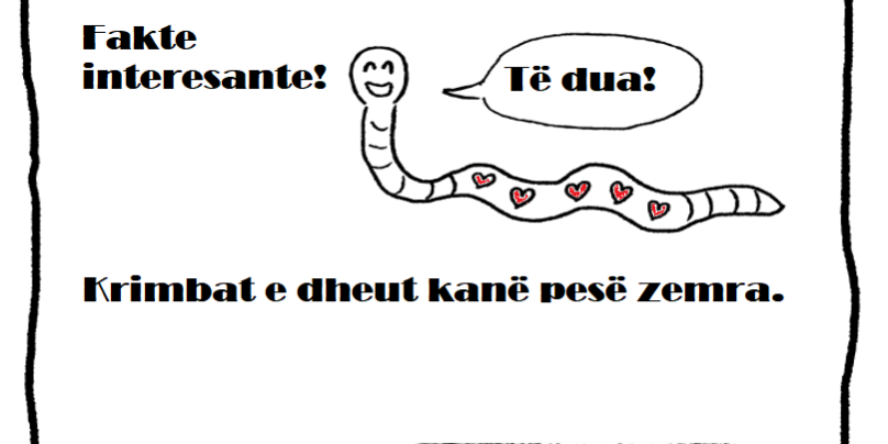 Fakte interesante! – Radio KFOR Shqip