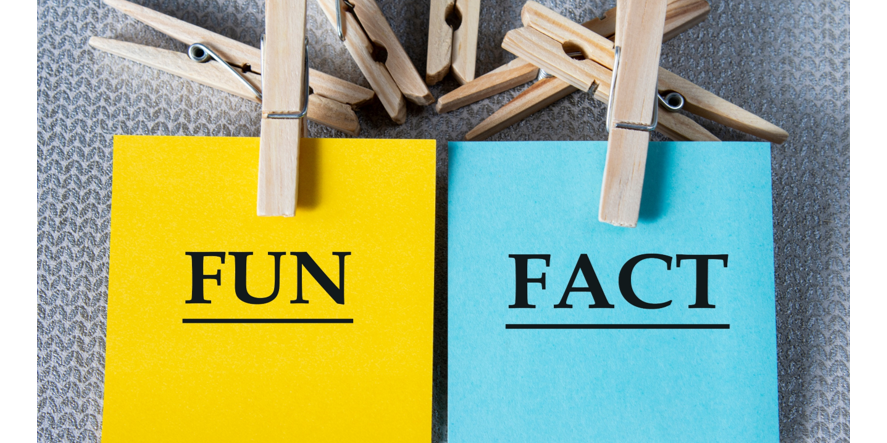 Fakte interesante! – Radio KFOR Shqip