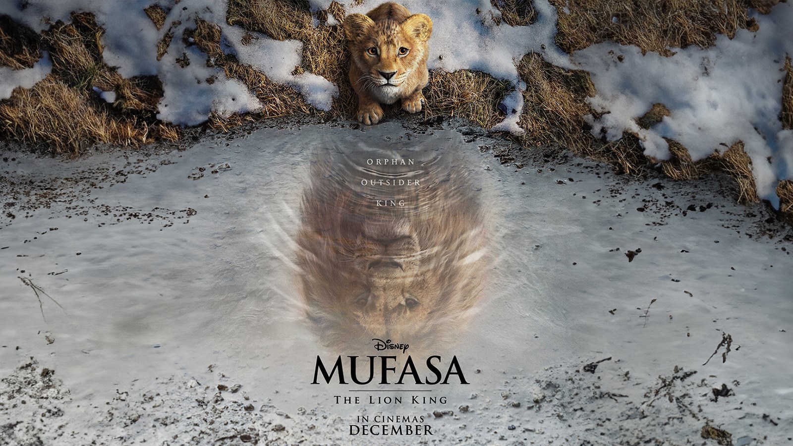 Premijera filma Mufasa kralj lavova – Radio KFOR Srpski